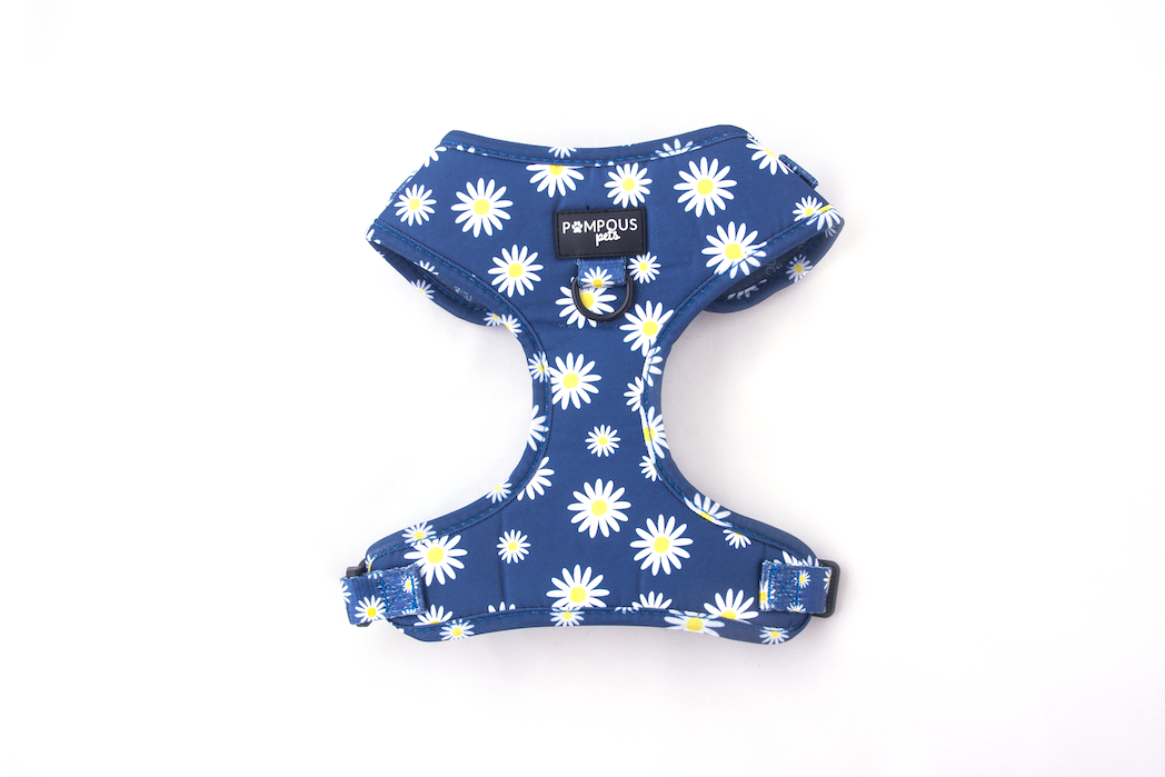 Sapphire Daisies Adjustable Dog Harness – Pompous Pets SA