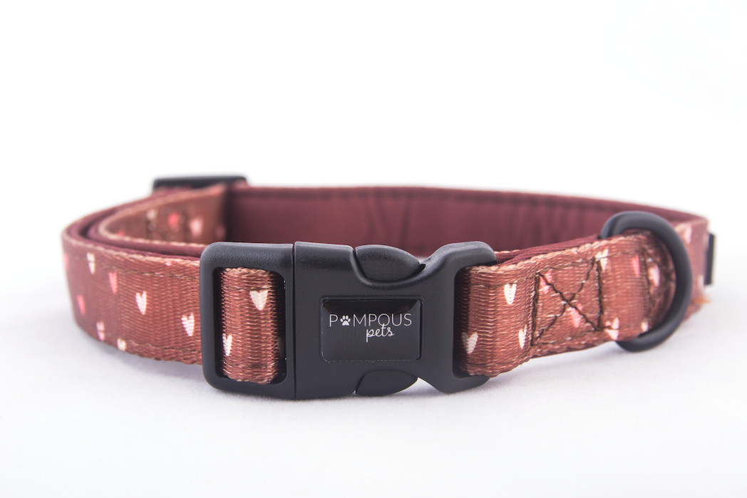 Terracotta Love Dog Collar – Pompous Pets SA
